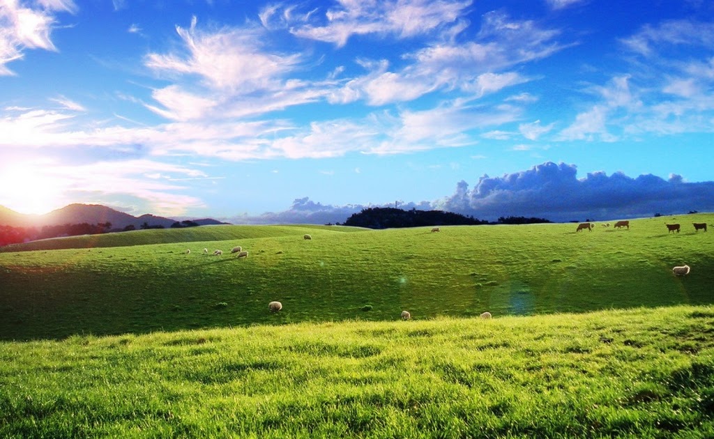 Spanish OLG: El campo y la ciudad