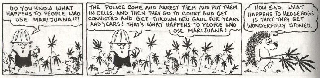 goNZo Freakpower Brains Trust: NZ cannabis culture old and new