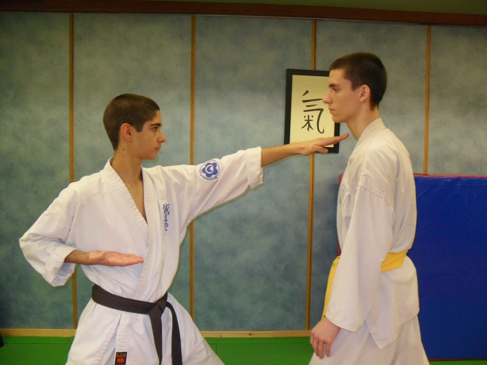 Japanese in Karate: Japanese in Karate 17 “Other hand attack techniques”