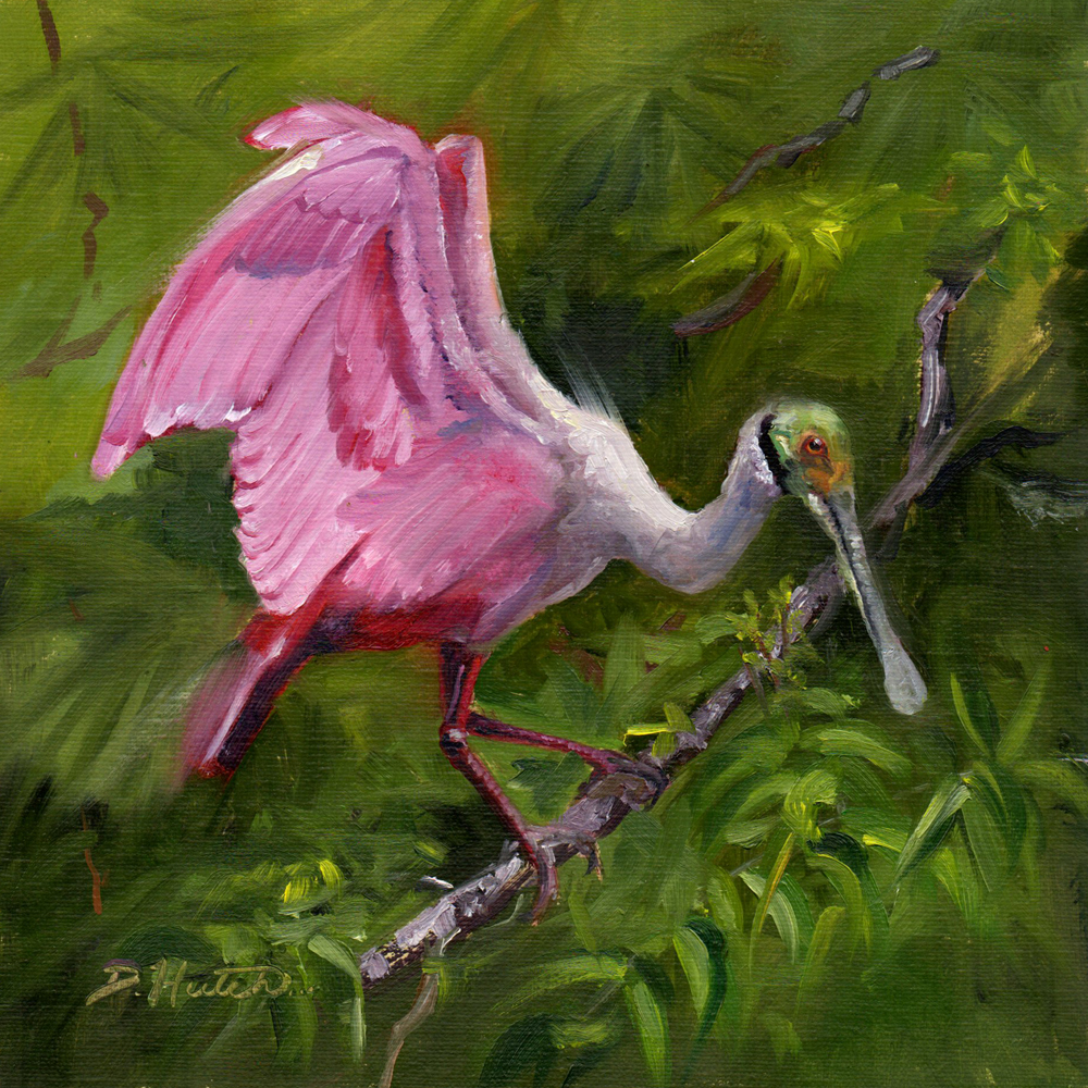 Diane's Art Stuff: Roseate Spoonbills