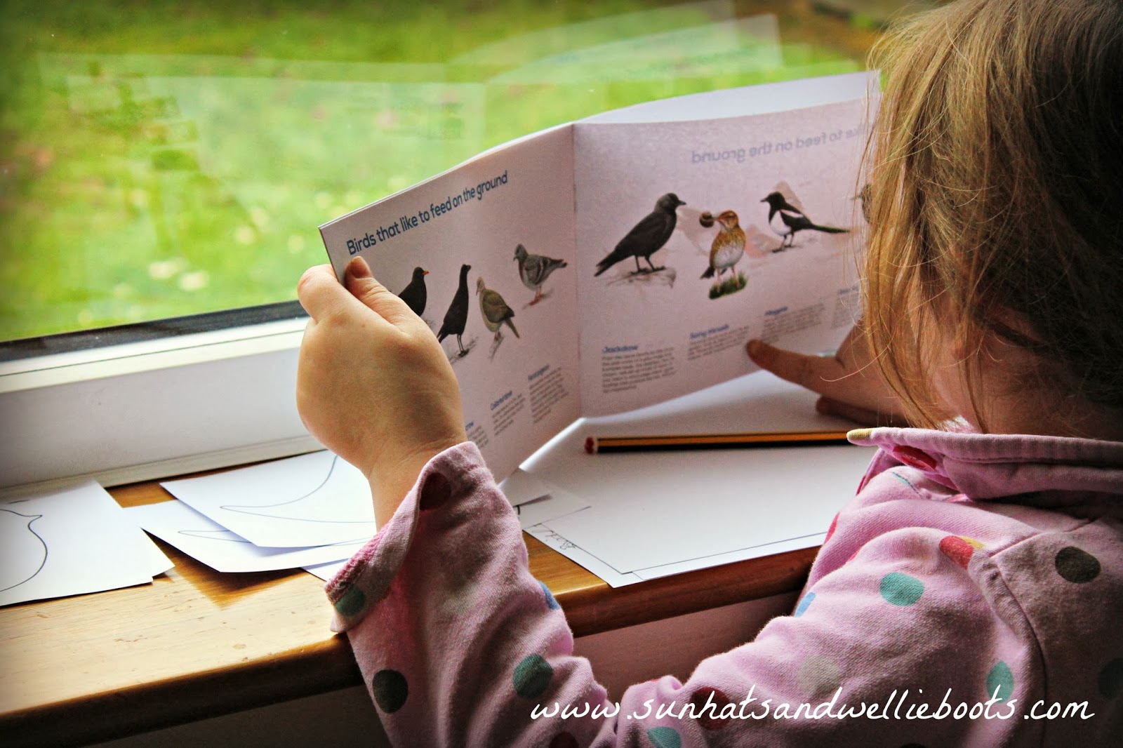 Sun Hats & Wellie Boots: Birdwatching - A Simple Way for Children to ...