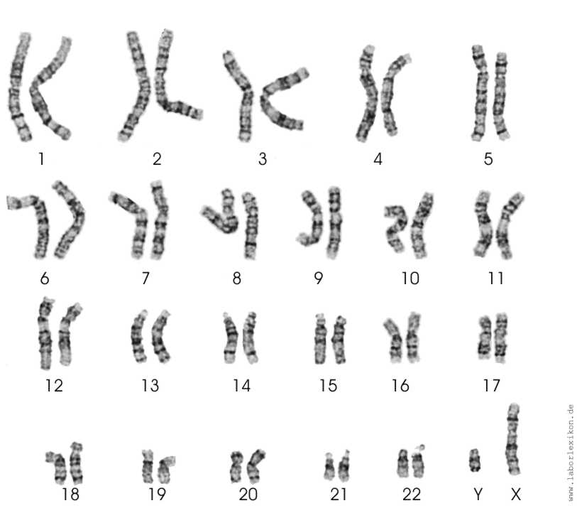 Abschlussklasse 2013: April 2012
