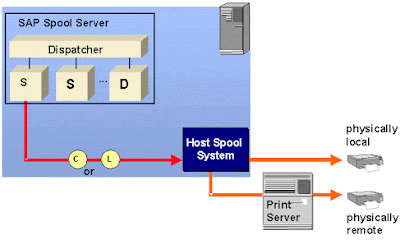 SAP BASIS: Print Architecture in SAP