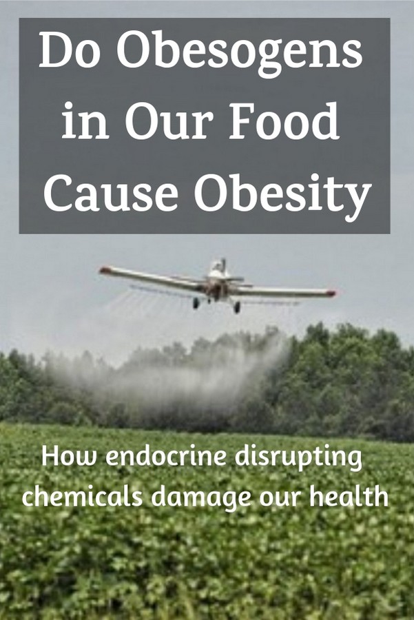 Do Obesogens in Our Food Cause Obesity