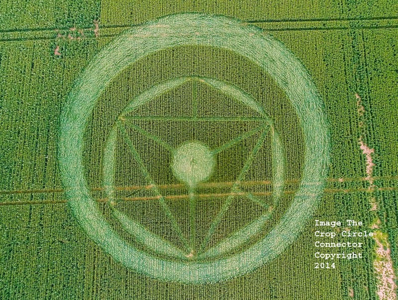 Augureye Express: 2014 Crop Circle Gallery