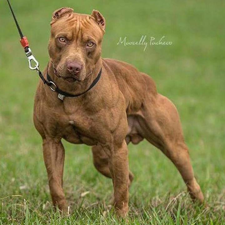 Blog Interessante: 2017