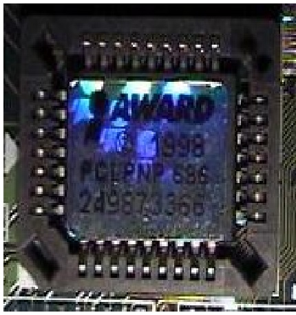 Macam Macam Dan Pengertian Bios