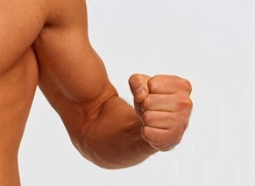 Bicep exercises with dumbbells | Dumbbells exercises for biceps