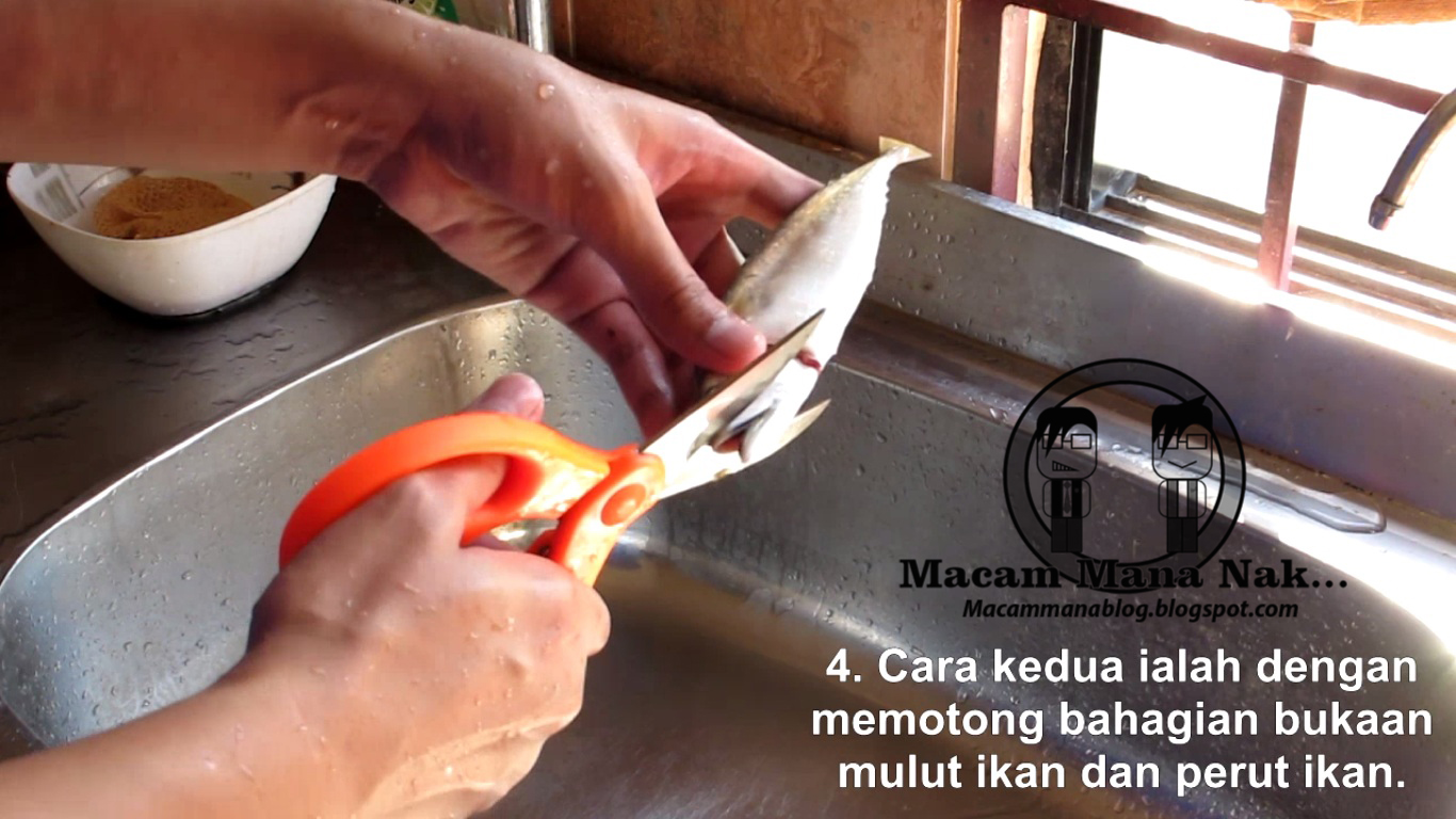 Cara Basuh / Cuci Ikan ( Temenung / Kembung ) | How To Clean Fish ...