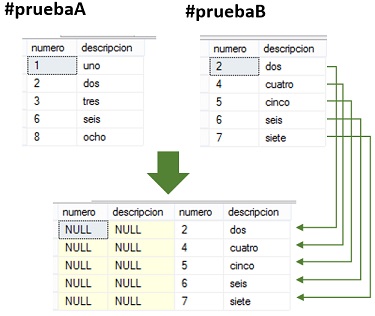 USANDO JOINs: INNER, RIGHT, LEFT, FULL, CROSS. ~ SQL SERVER