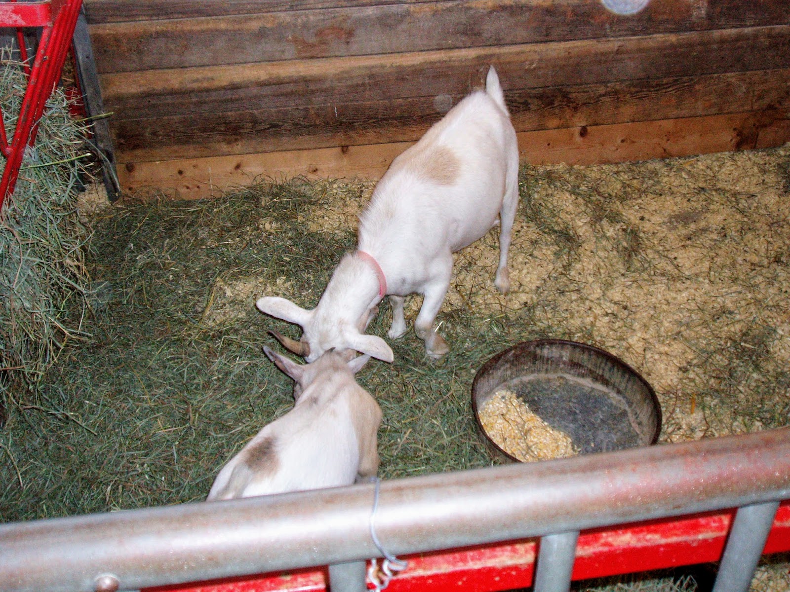 History and Culture by Bicycle: Previously Unpublished: 2006 Iowa State ...