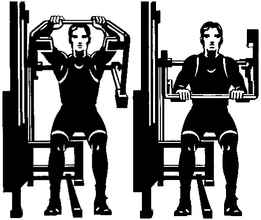 BEGINNERS BACK WORKOUT GUIDE « BODY BUILDING