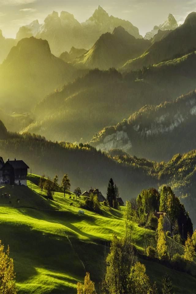 ㅤ: VERDE, uma cor milagrosa!