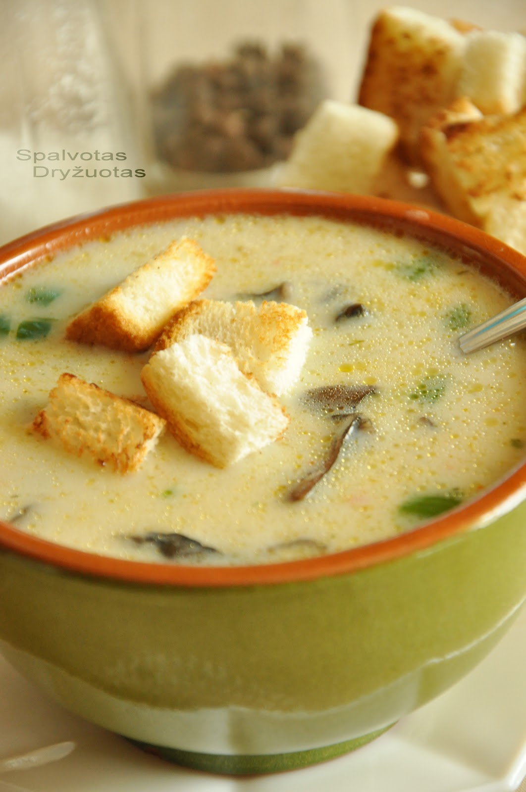 Balta GRYBŲ sriuba | Spalvotas Dryžuotas