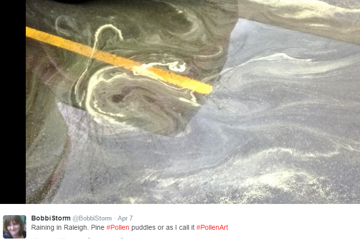 Hurricane Harbor: Pine Pollen Storm in Raleigh . . and across the South ...