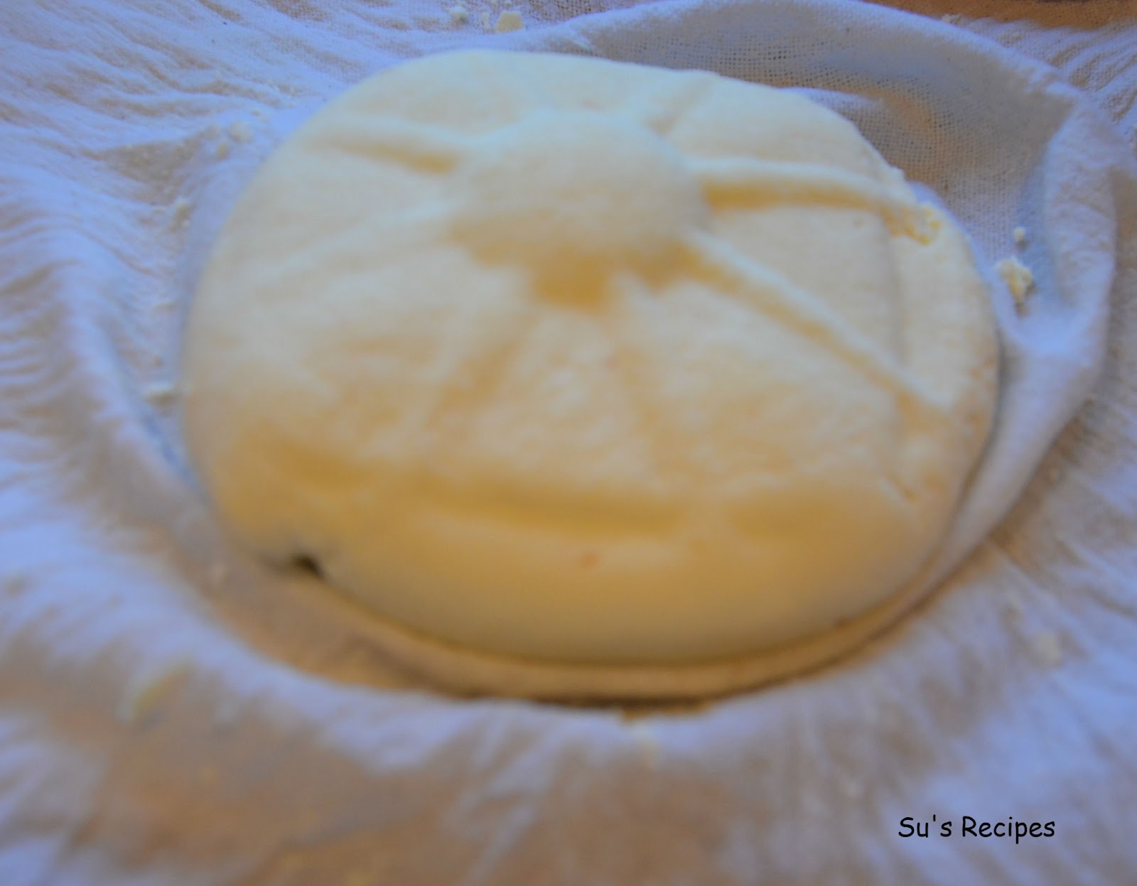 Su's Recipes: Paneer - Homemade Cottage Cheese