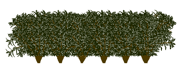 FAMILIAS PARA REVIT: ARBUSTOS 3D