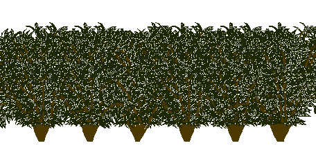 FAMILIAS PARA REVIT: ARBUSTOS 3D