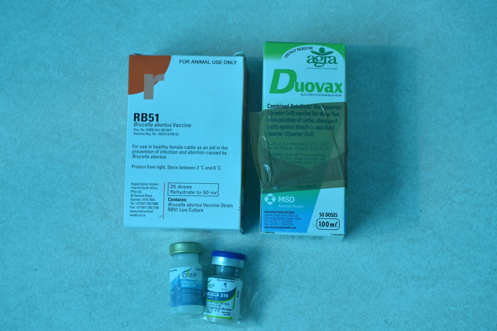 Farmer's Creek: WEEKEND FARMER!....WEEKEND PLANS.