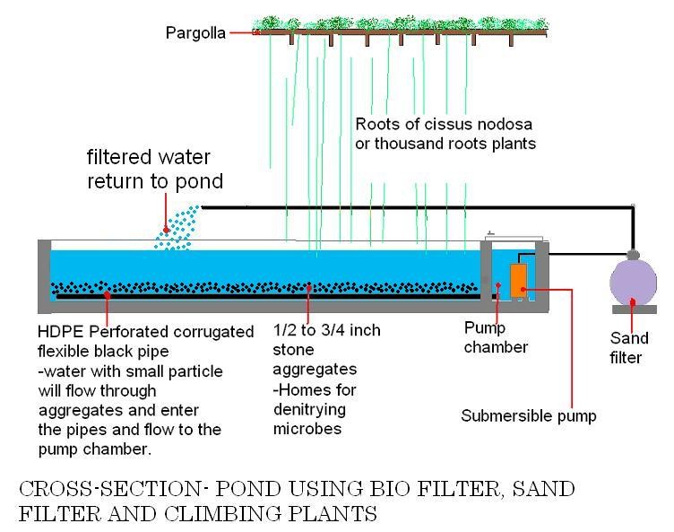 Agrobio Resources: Other alternatives of Bio-Filter for your ponds ...