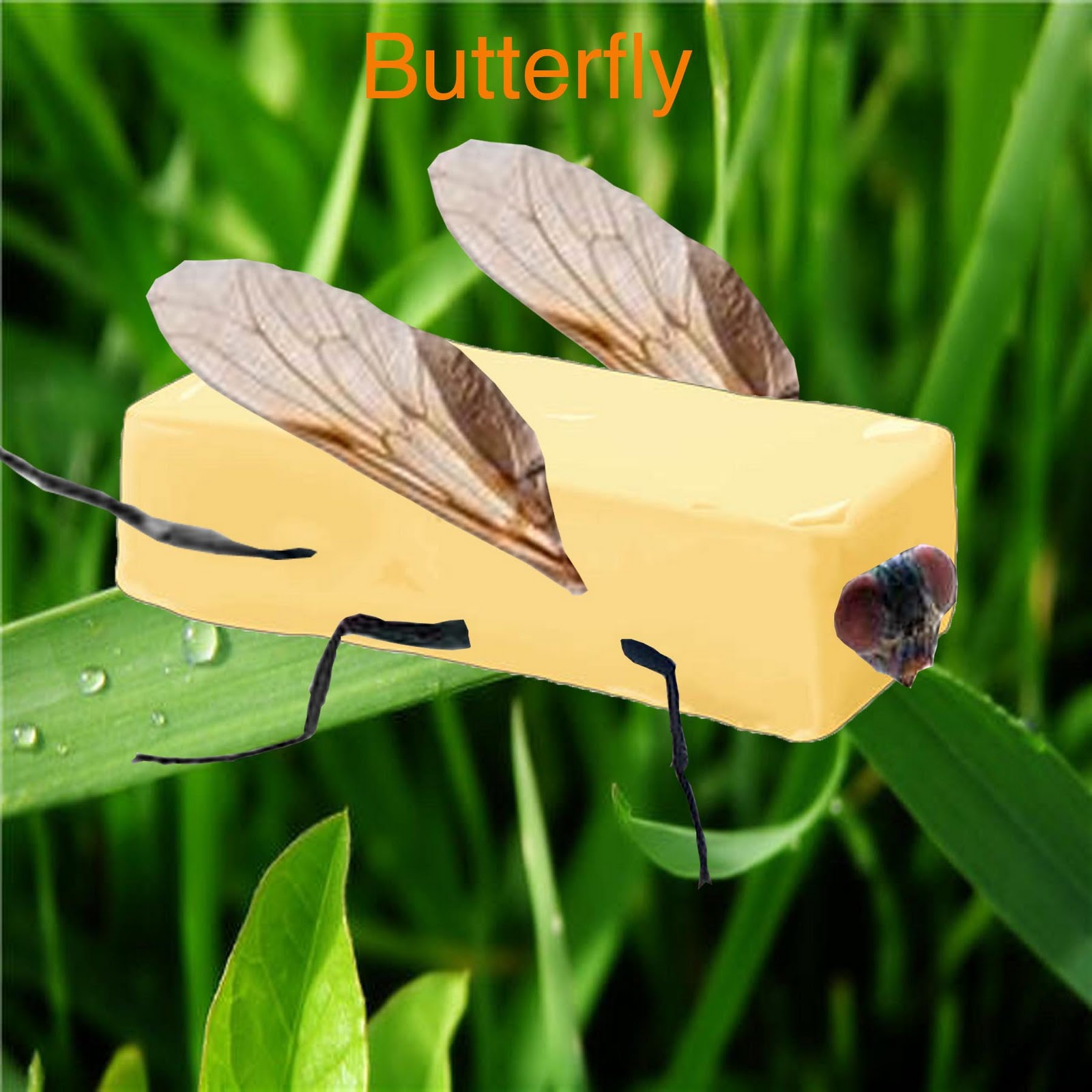 Blog by Michael M: VISUAL PUNS