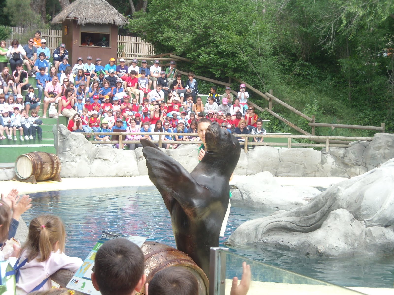 crainfantilsantibáñez: Excursión al Zoo de Madrid.