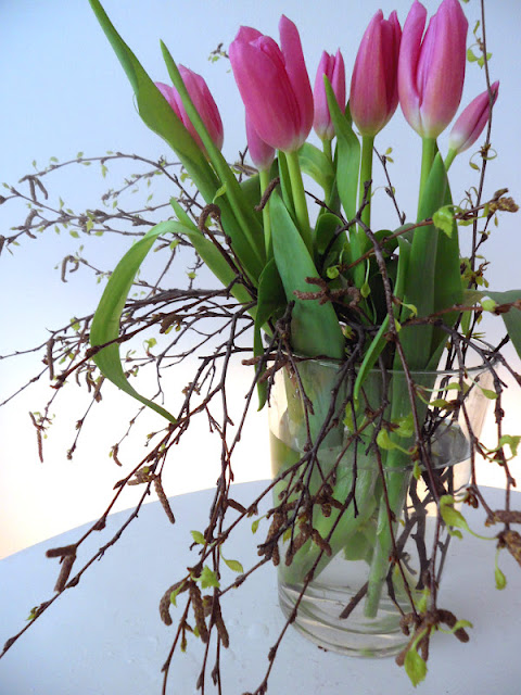 omⒶ KOPPA: Hyvää syntymäpäivää Robert!