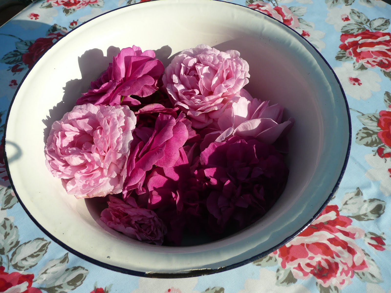 The Scented-Garden: Summer Roses