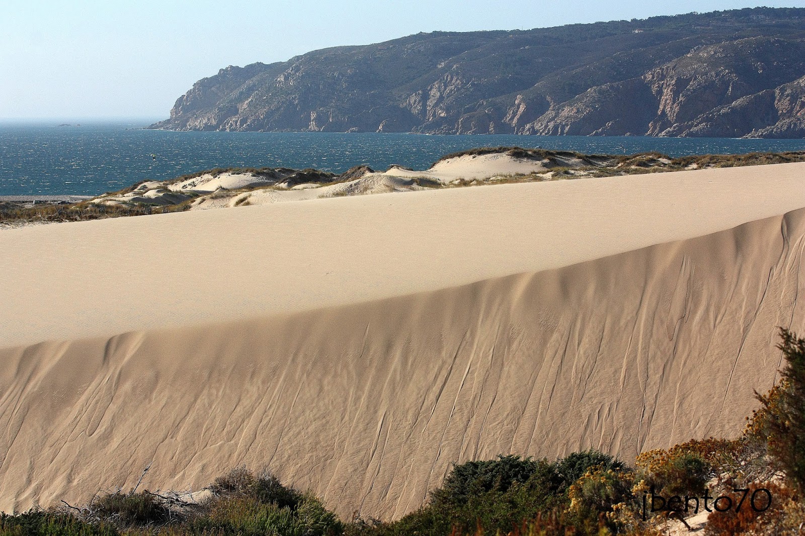 Birding Cascais: Sistema Dunar Guincho-Cresmina