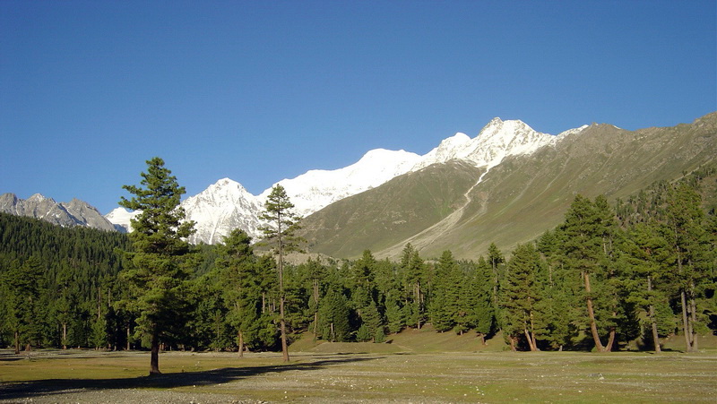 Pictures Folder of Gilgit Baltistan : Fairy Meadows Chilas, Gilgit ...
