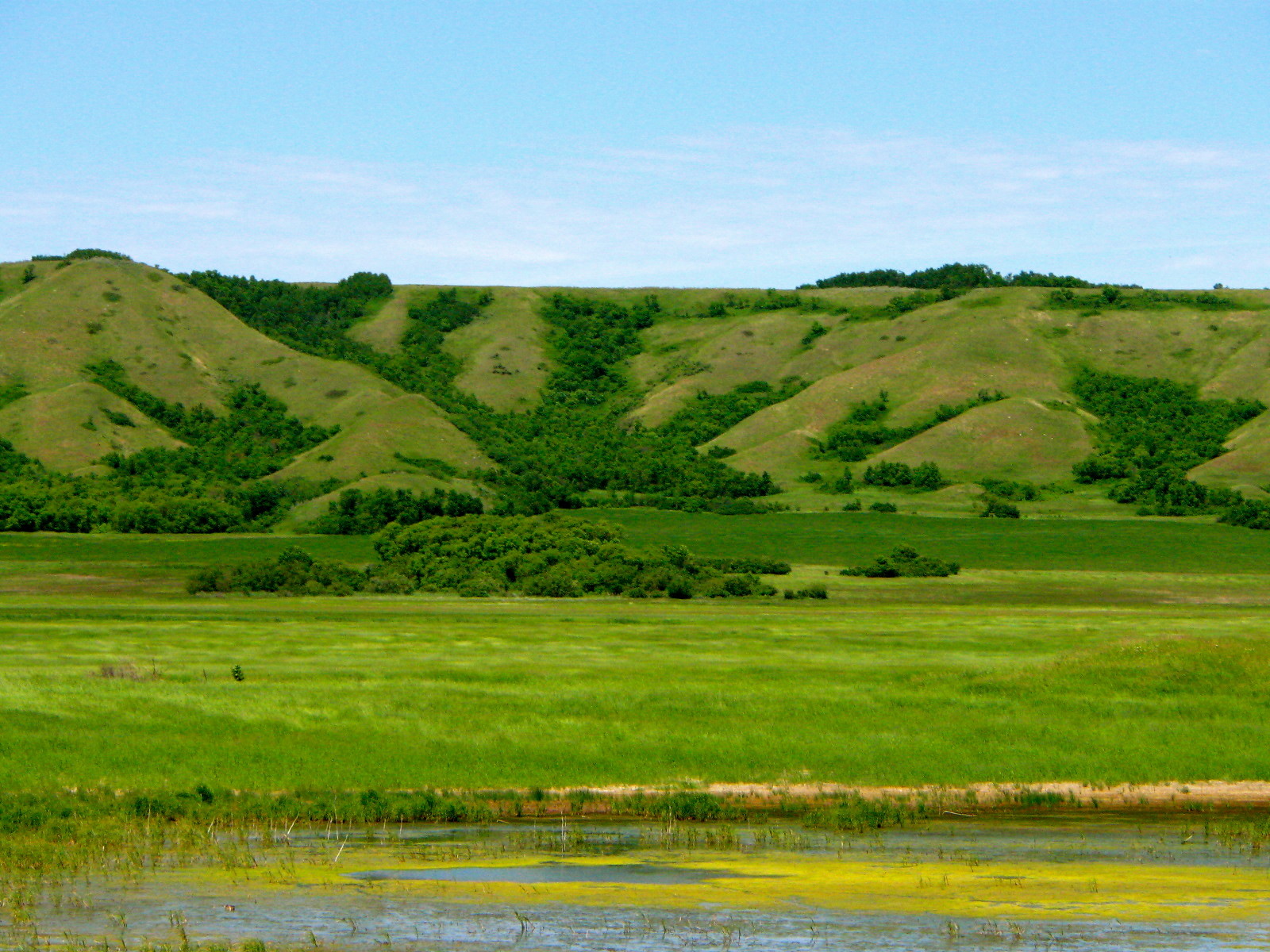 Louise Le Bourdais: LES PLAINES ET LA VALLÉE DE LA QU'APPELLE, SASKATCHEWAN