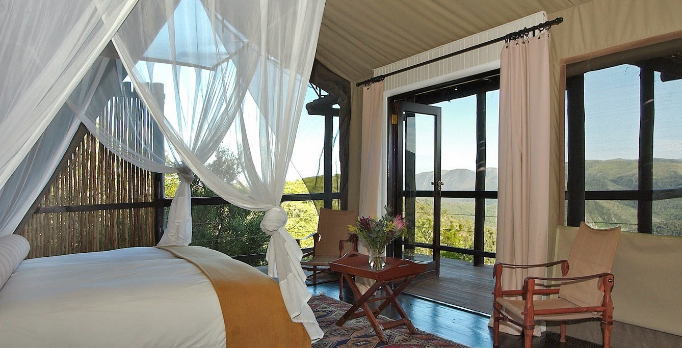 A Road Trip │ Addo Elephant Park