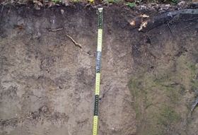 Persebaran 19 Jenis / Macam Tanah di Indonesia dan gambarnya - Biologizone