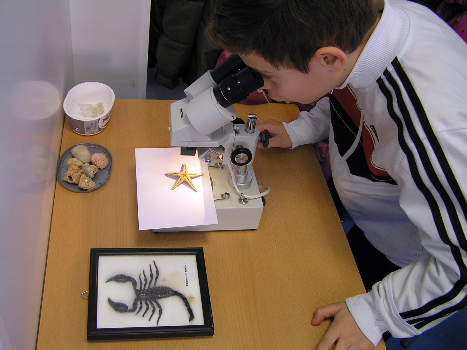 Cosas de niños para la escuela: LUPA BINOCULAR 26-2-15