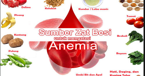 CARA MENCEGAH ANEMIA TERBAIK SECARA ALAMI - karya mahasiswa nurse