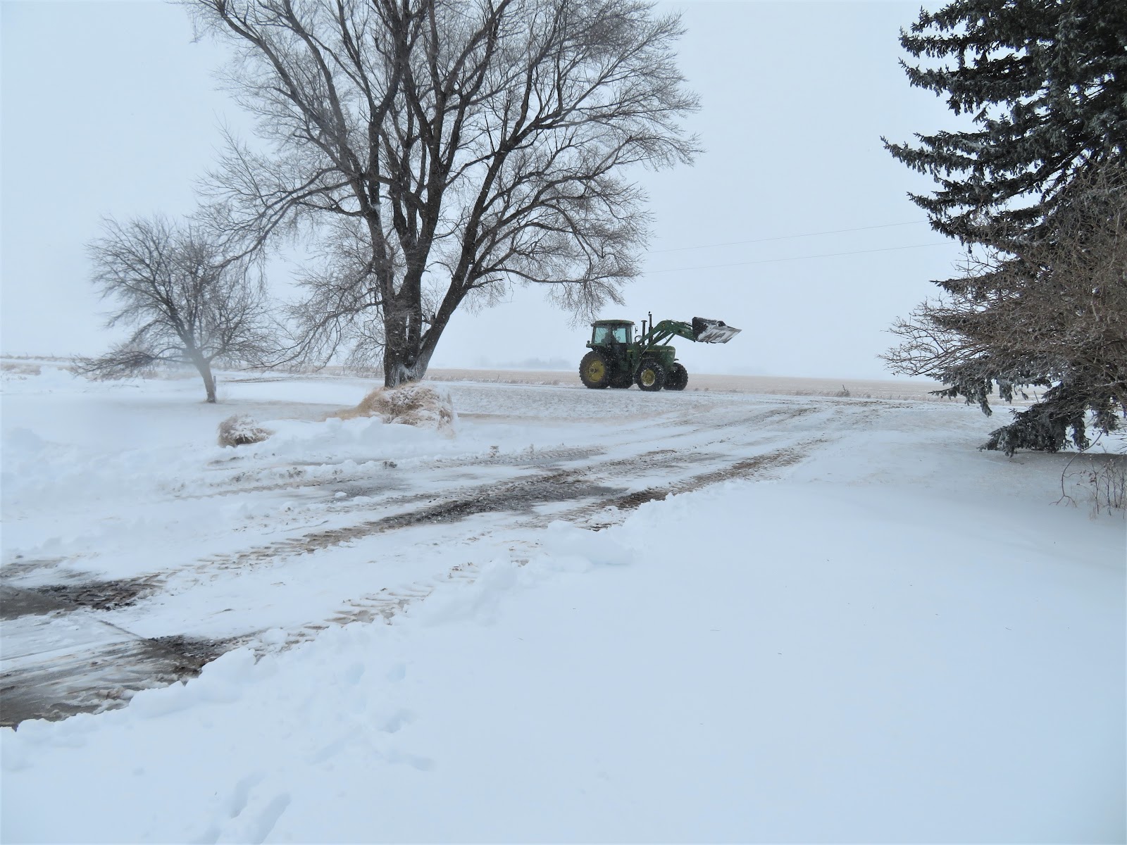 Todd Swank: A Blizzard Down on the Farm