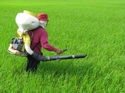 anaklaut: Cara Membaja