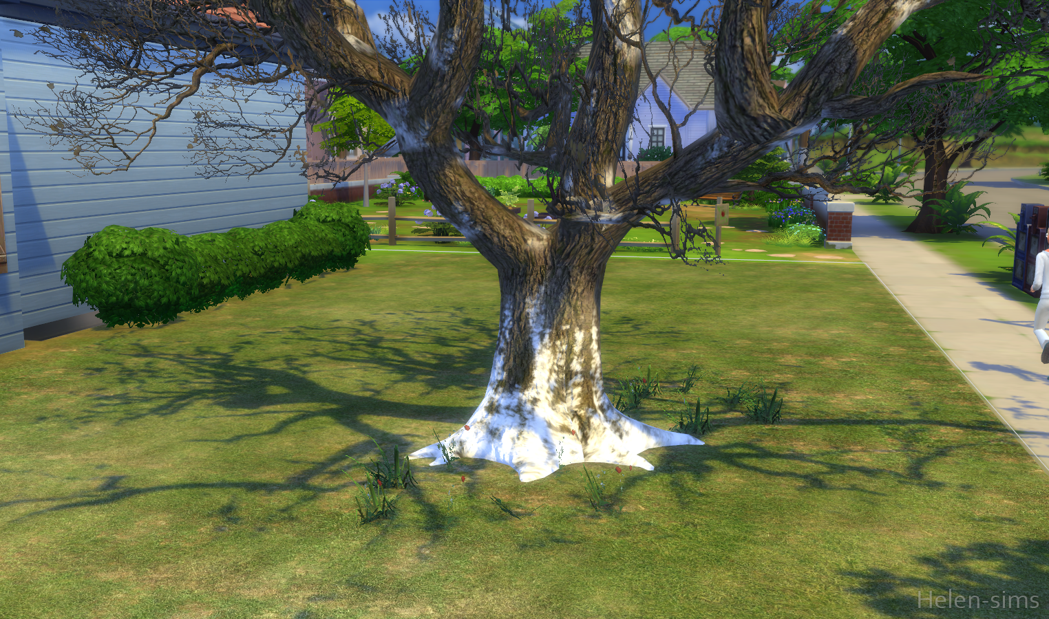 Helen-sims: TS4 Tree Oak
