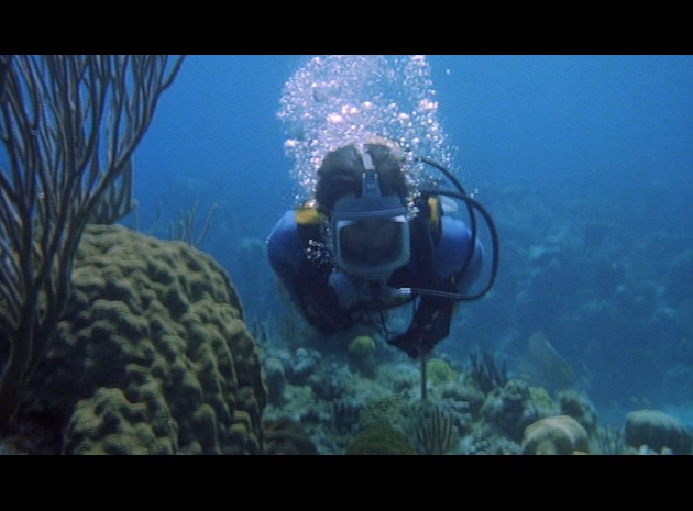 Christmas TV History: Jaws: The Revenge (1987)