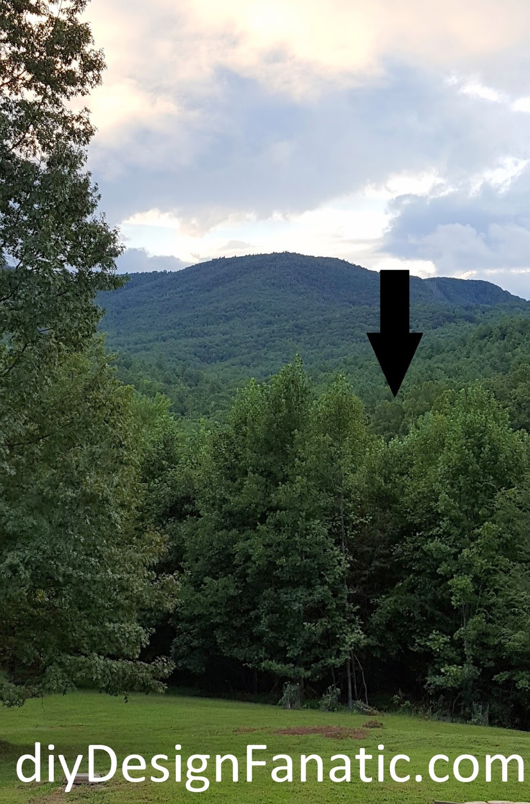 I set them outside on the table on the screened porch. It was pretty ...