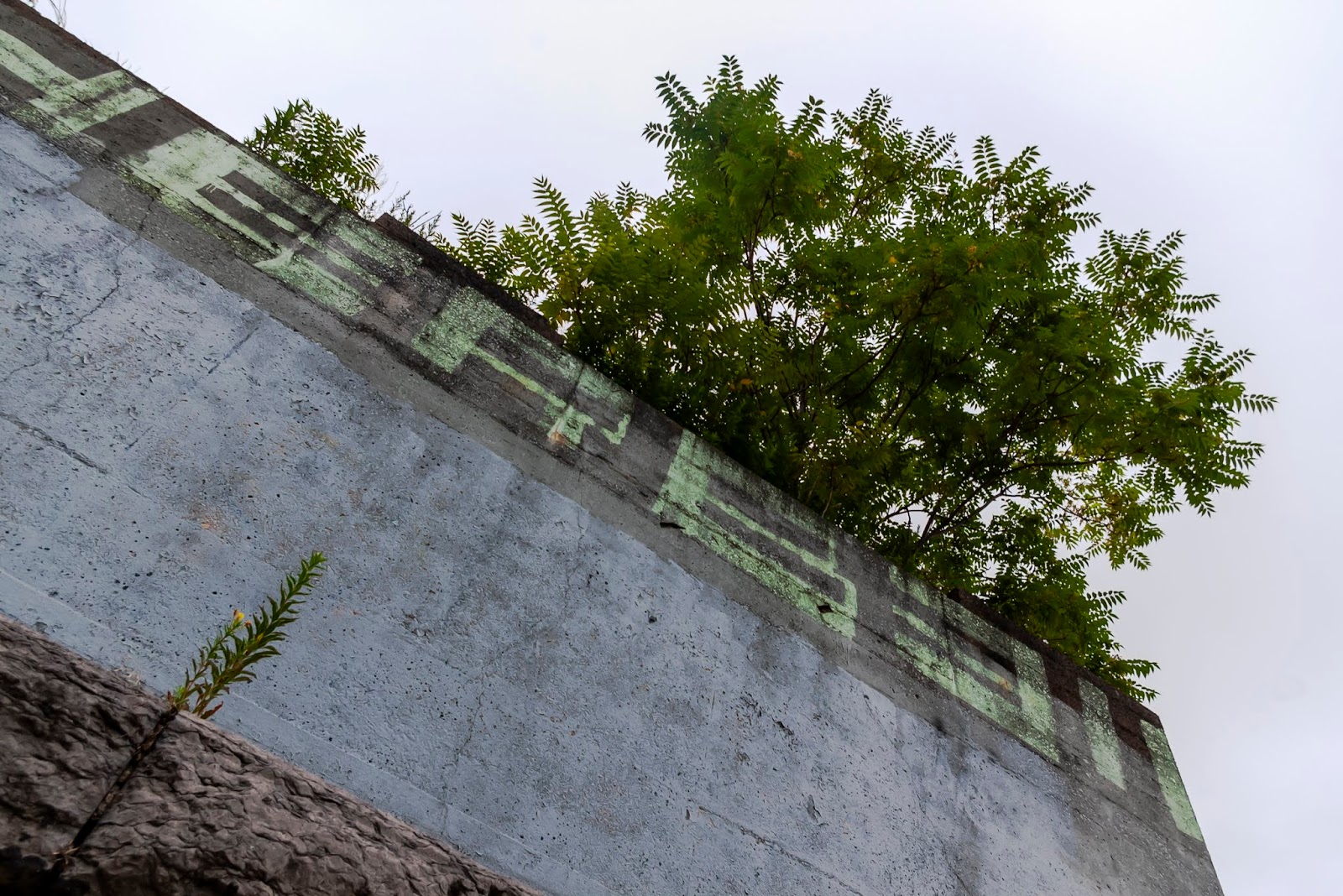 NEW SAVANNA: Two views of a signal tower [the over-hanging tree is a bonus]