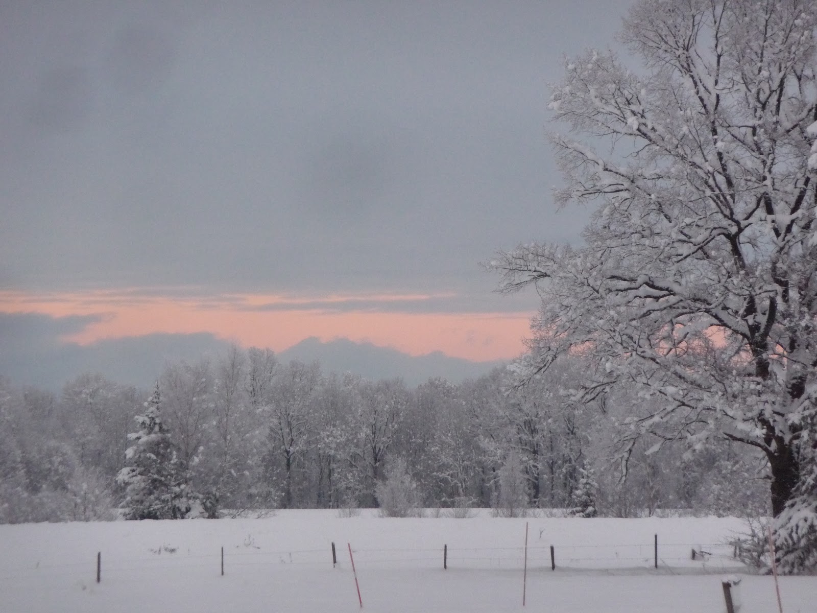 Niras blogg: Fin fina vinterbilder!