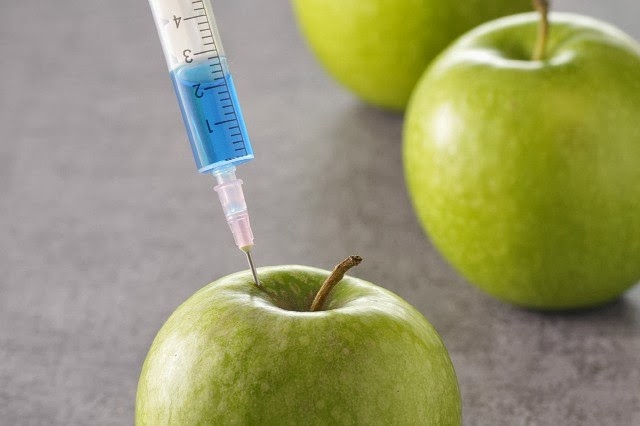 GMO Report: GM Apples Headed for USDA Approval