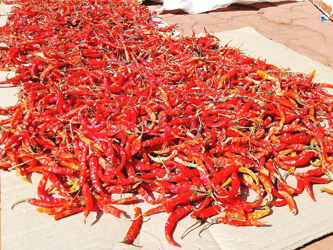 Best Places to Eat & Things to do in Matheran 2019