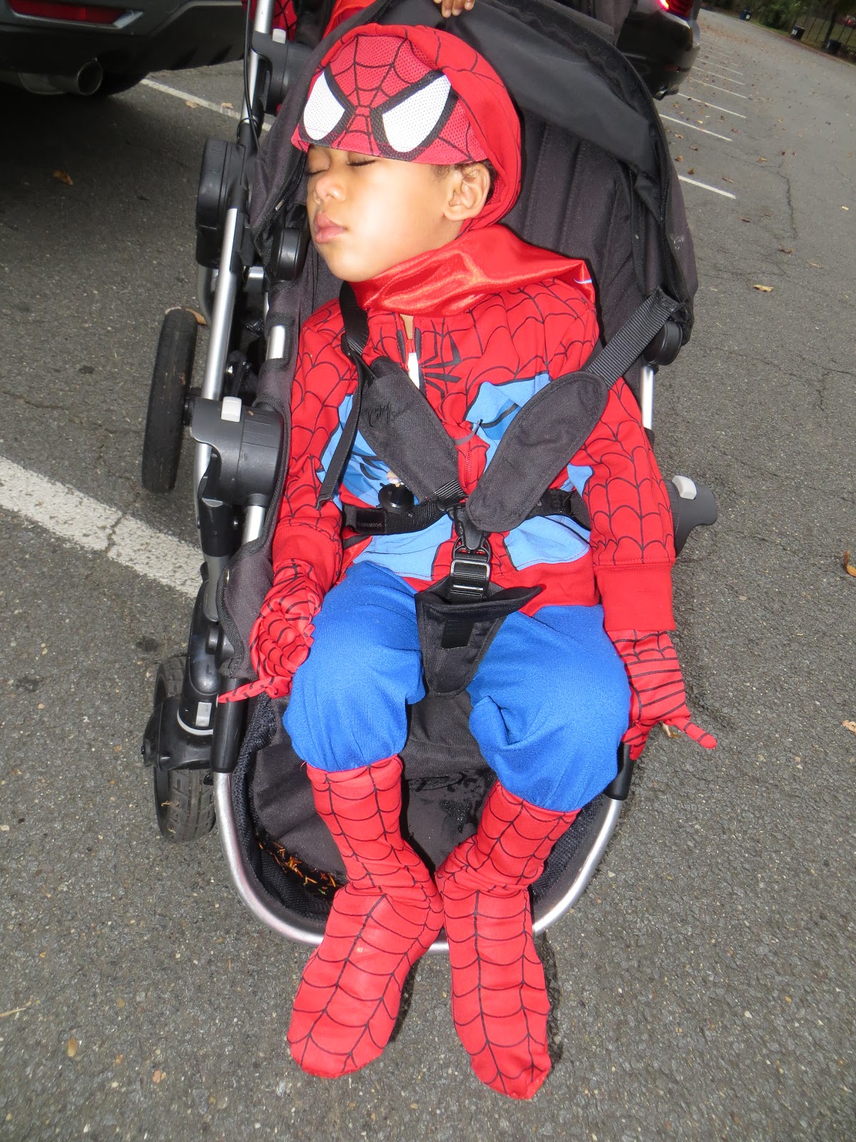 kaleidoscoping chaos...: Spooky Shabbat!