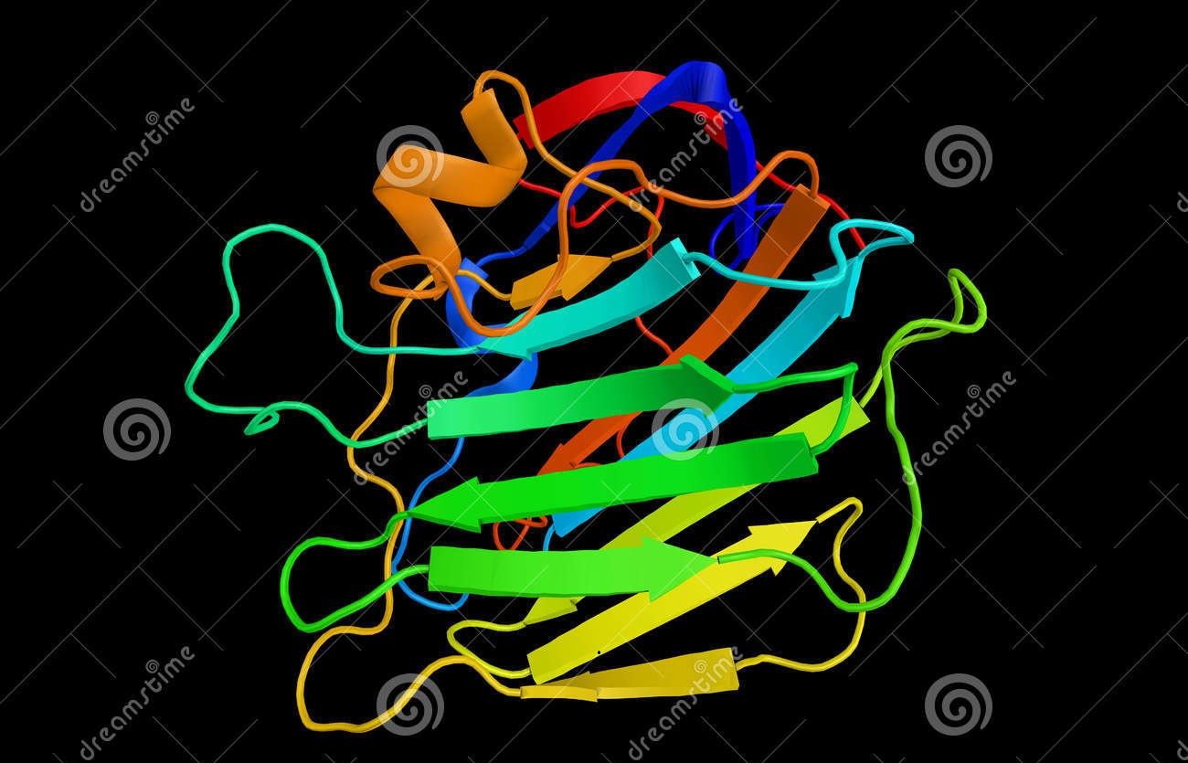Cours 4 : La Matrice Extracellulaire - DZ Etudiant 24