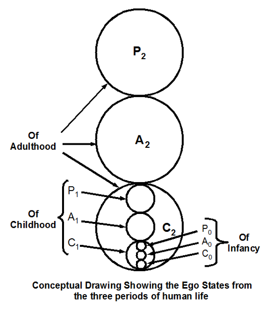 Transactional Analysis Theory and Practice: Transactional Analysis ...