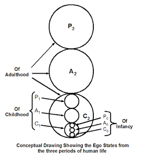 Transactional Analysis Theory and Practice: Transactional Analysis ...