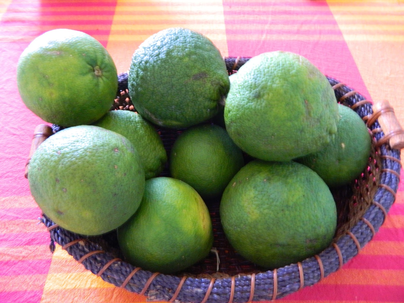 Niya's World: Photos of Sweet Lime & Australian Lemon in our backyard