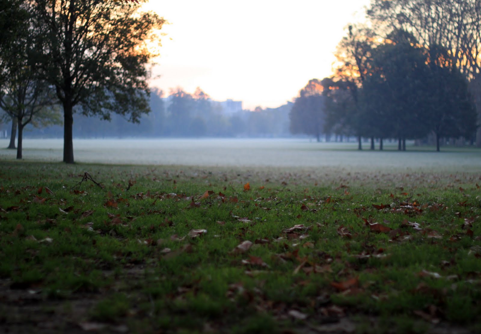 Le monde selon C...: Petit matin